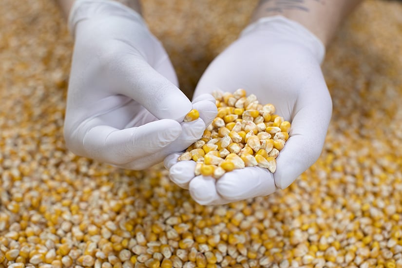 Modified Atmosphere Packaging Solutions